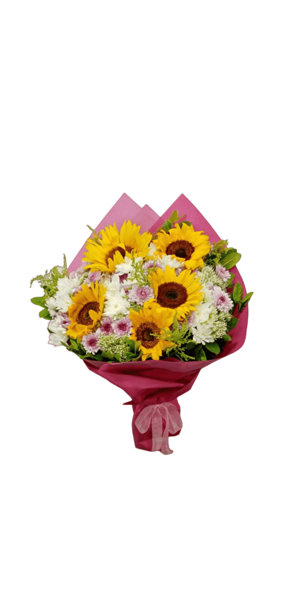 Sunflower forest - Basset Flowers